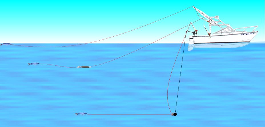 Trolling Profile - Angler Sportsman