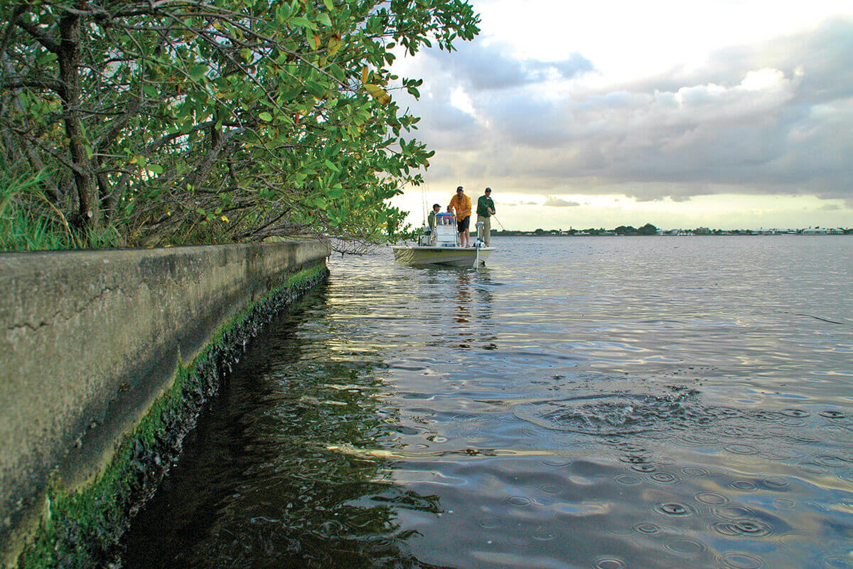 fishing-structure-and-shore-1200x800 - Angler Sportsman