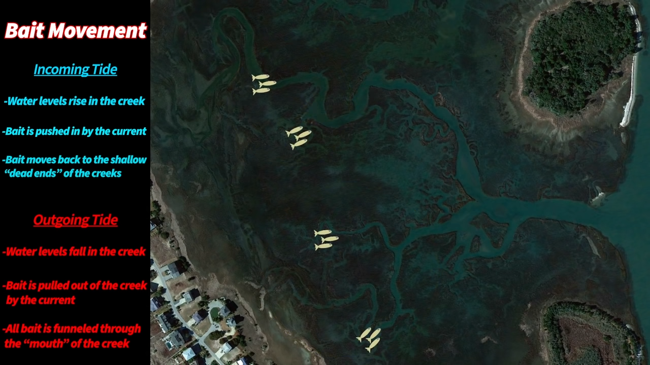 (1) Catching Redfish In Coastal Creeks (During Incoming & Outgoing Tides) 00-02-02 - Angler ...