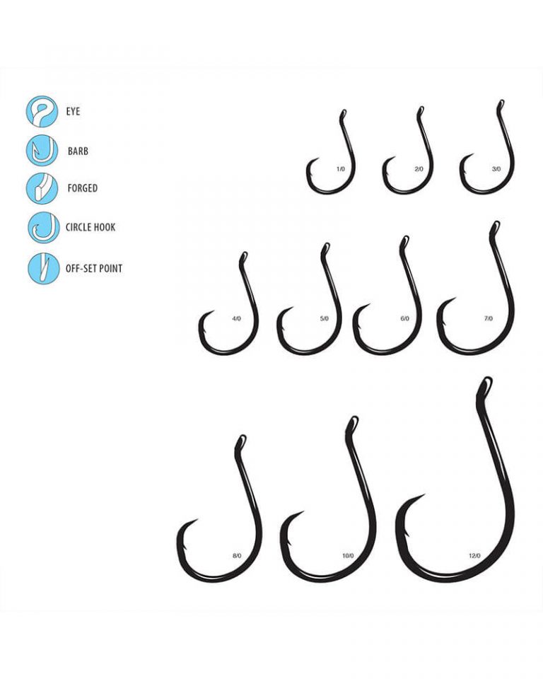 Circle Hooks.......What, When, Where and Why? - Angler Sportsman